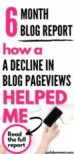 Sixth Month Blog Report - Curly Bun Mom