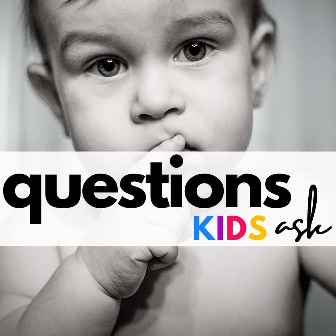 Awesome Research Topics For Your Child - Questions Kids Ask - Curly Bun Mom